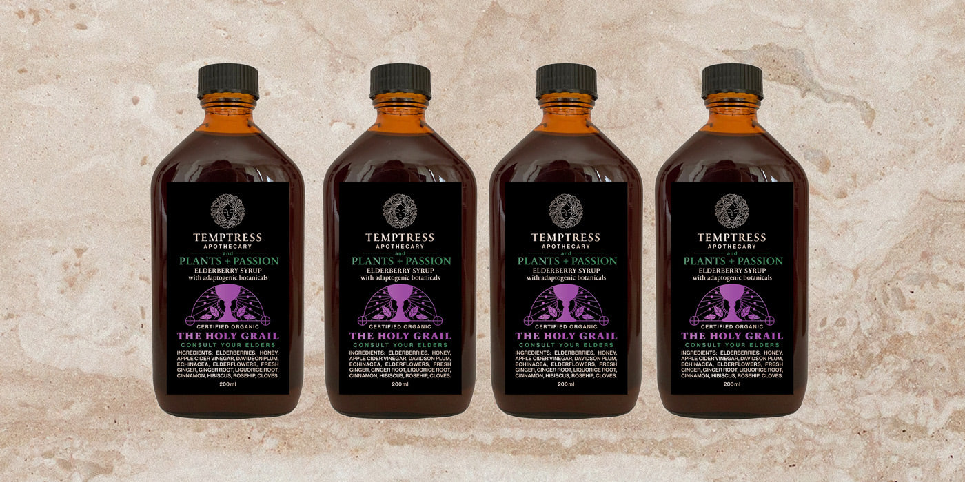 Holy Grail Elderberry – Temptress Apothecary
